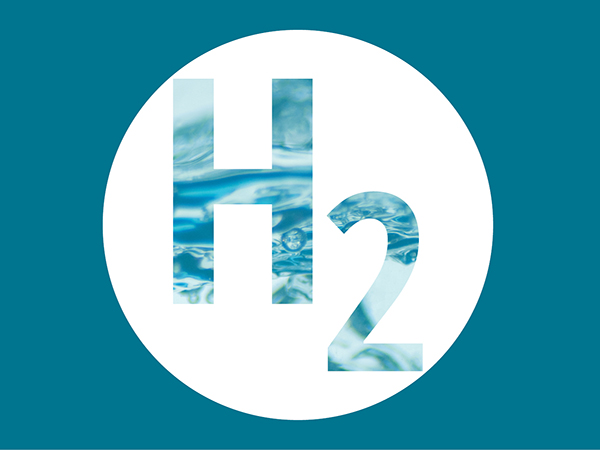 Decarbonisation pathways | Carbon footprint reduction | Enerdata